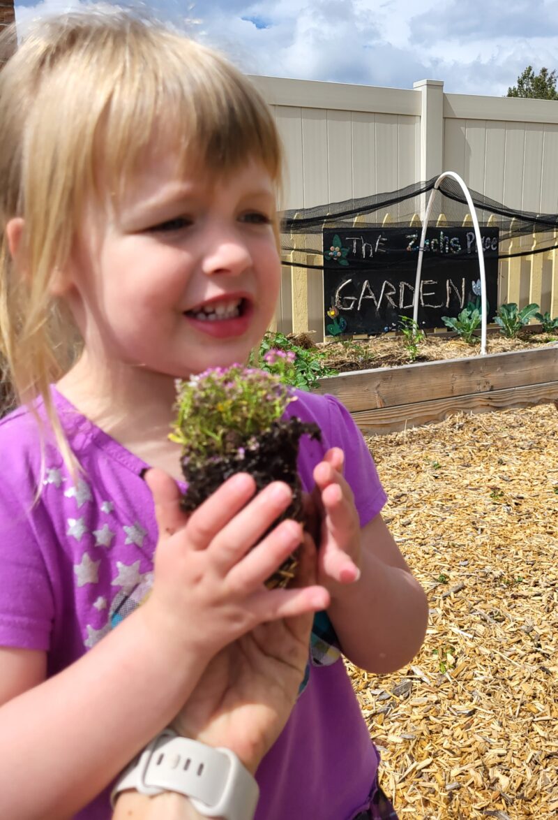Gardens Grow Program | SKSF Colorado